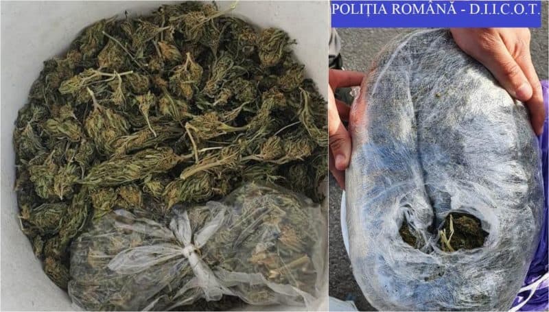 FOTO VIDEO: Polițiștii BCCO Alba Iulia au ajutat la prinderea în ...