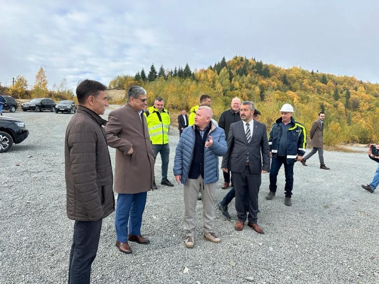 România, pe harta materiilor prime critice ale Europei. O resursă din ...