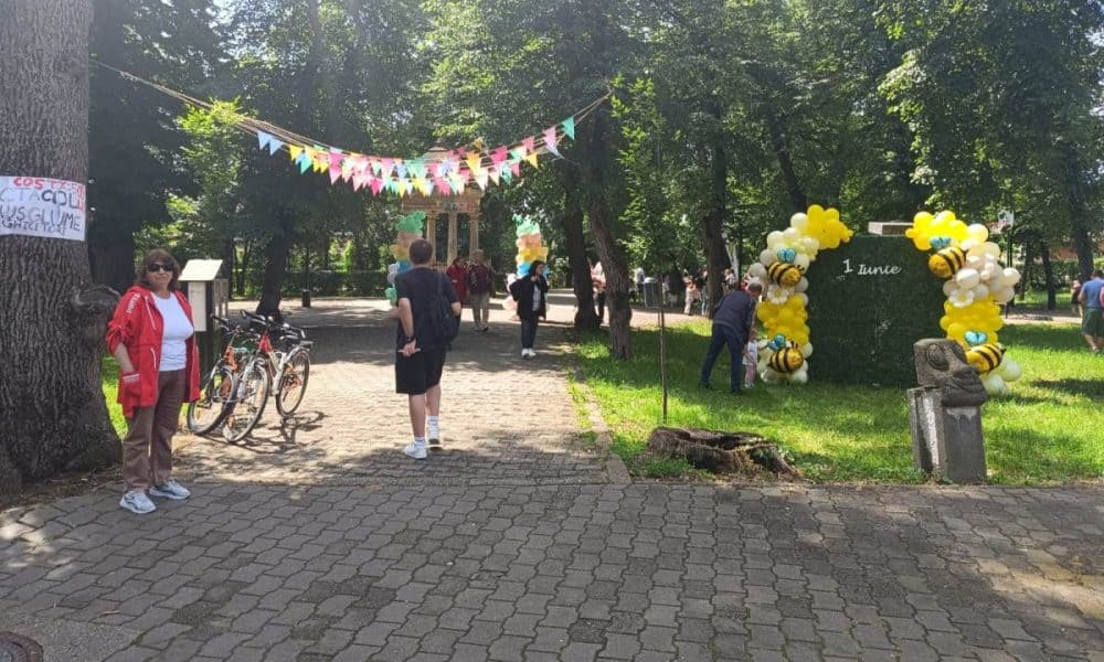 Actualitate Alba – Cele mai noi știri și evenimente | Alba24
