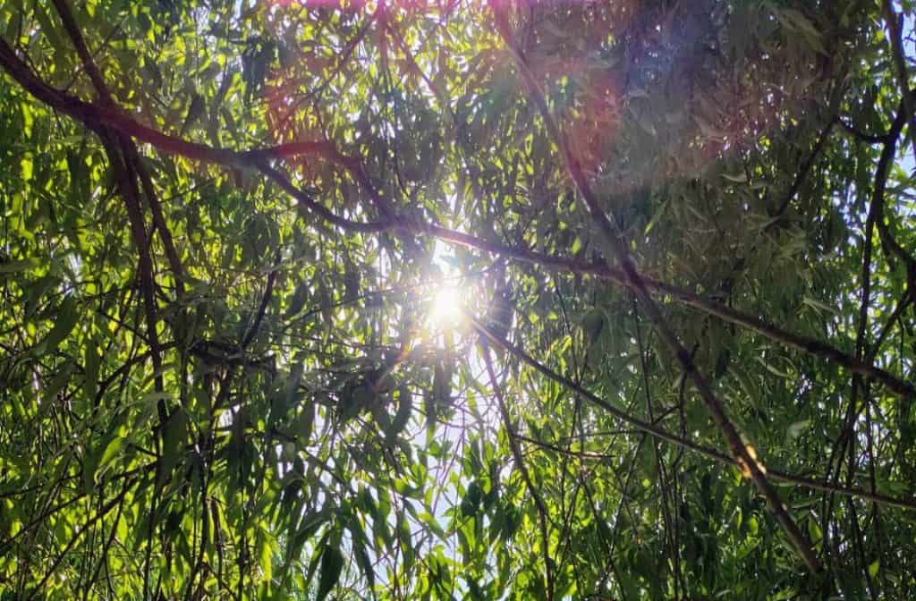 Solstițiul de vară 2025: când va fi cea mai lungă zi din an. Legende și ...