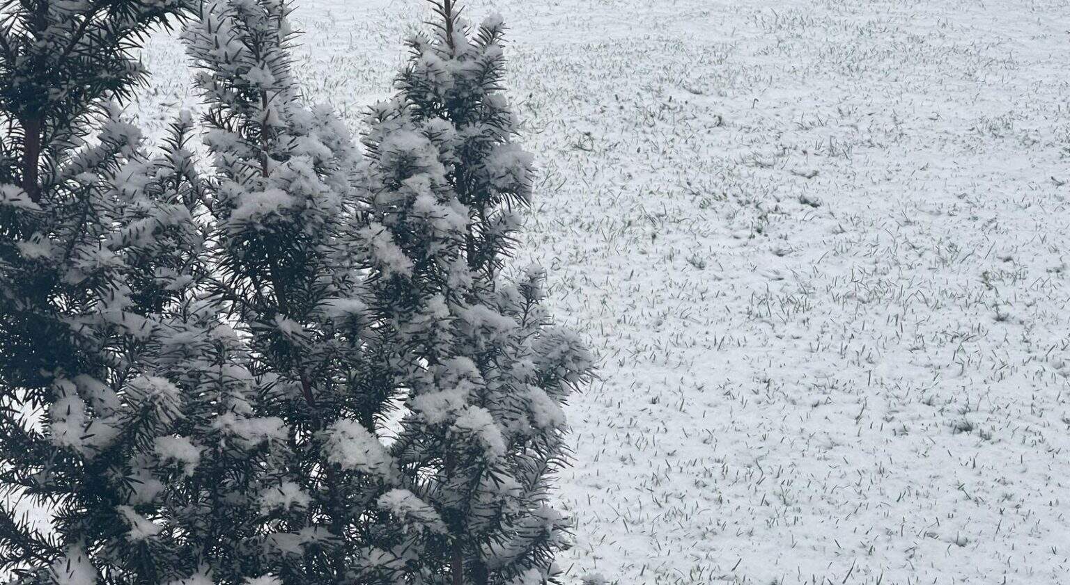 Vremea în Alba, în minivacanța de Crăciun 2025: mai frig, ninsori la ...