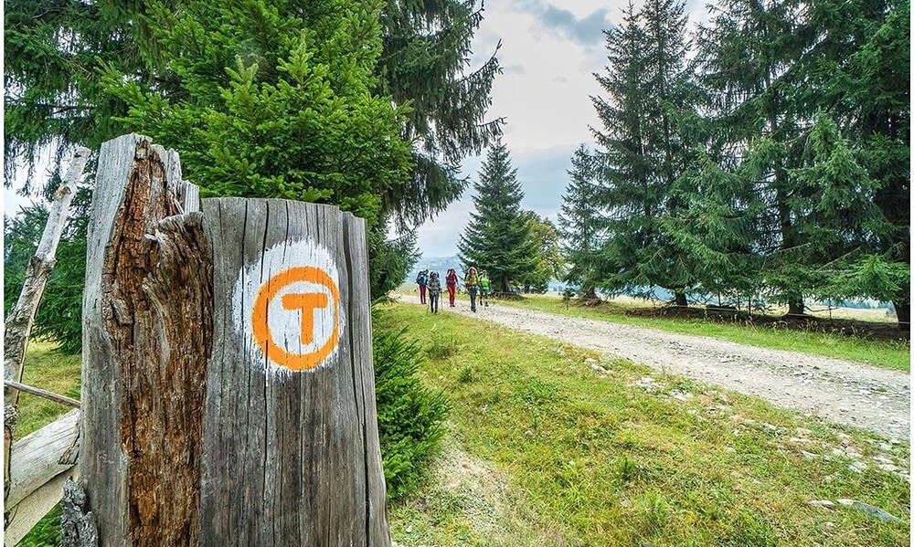 Via Transilvanica, declarată oficial traseu pedestru de interes ...